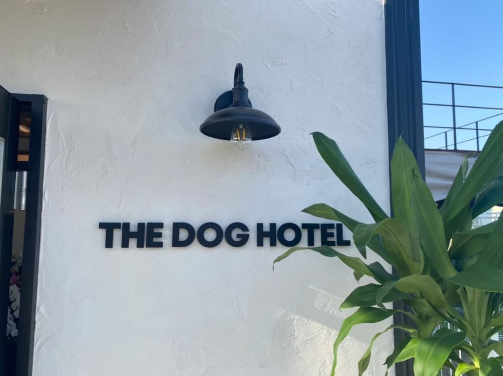 【豊中市】ワンちゃんもリゾート気分でお留守番。「THE DOG HOTEL」ドッグラン完備。理想的なお預かり環境のドッグホテルがオープンしまし ...