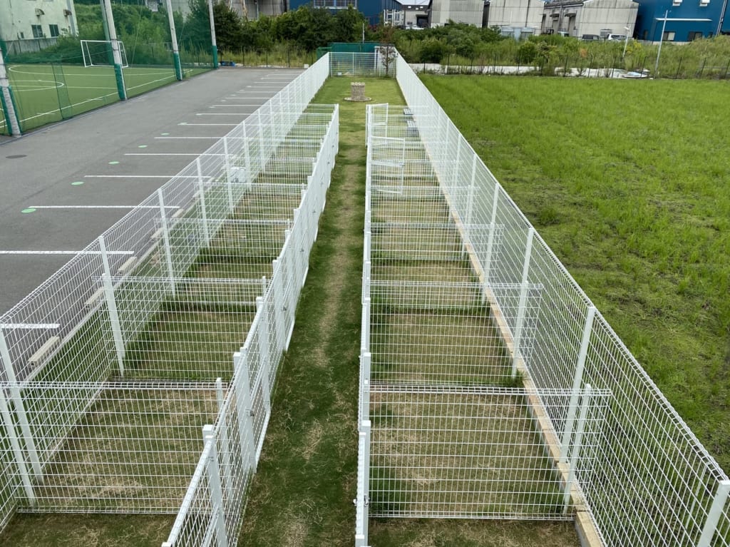 【豊中市】ワンちゃんもリゾート気分でお留守番。「THE DOG HOTEL」ドッグラン完備。理想的なお預かり環境のドッグホテルがオープンしまし ...